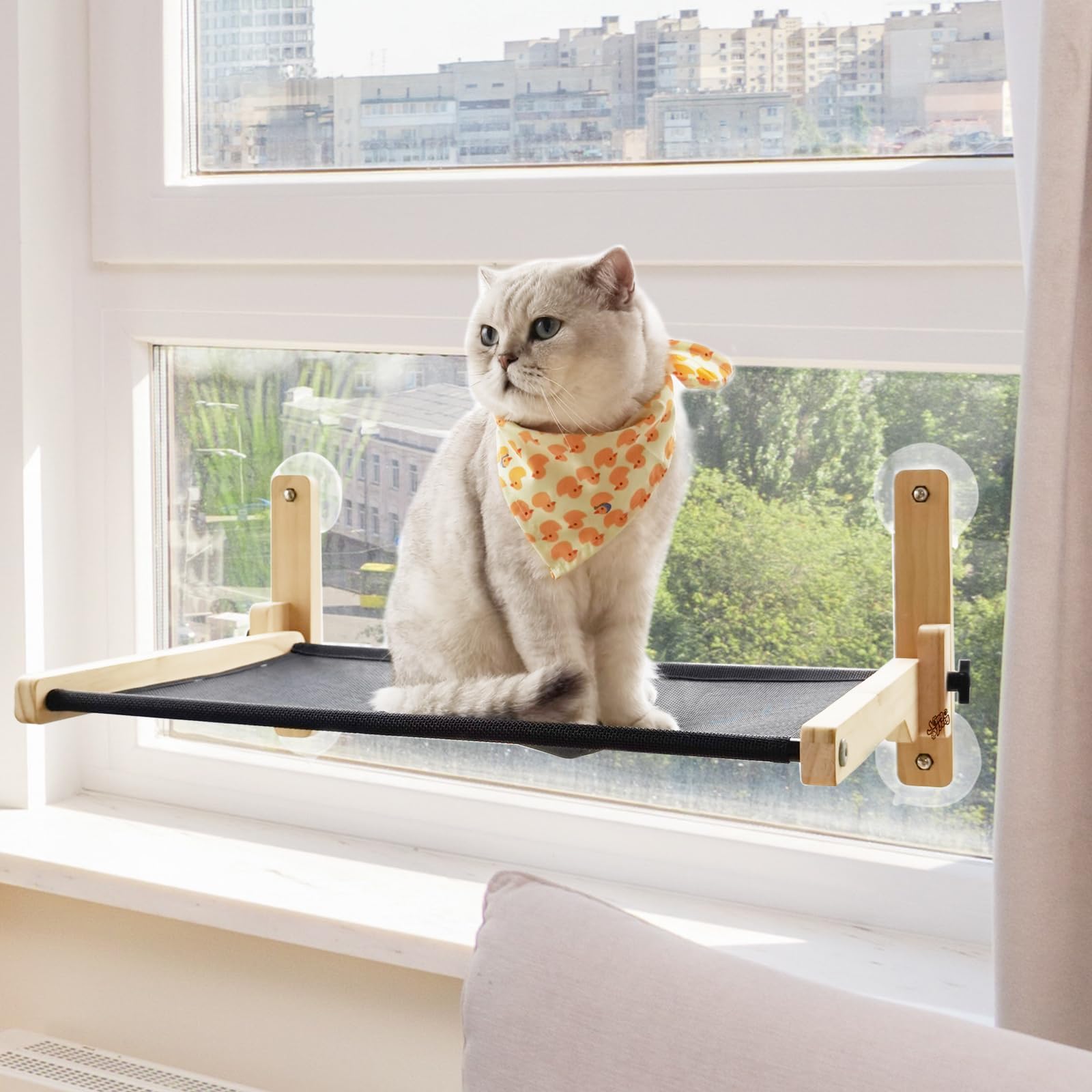 Amazon.com : Cordless Folding Cat Window Perch, Natural Wooden cat ...