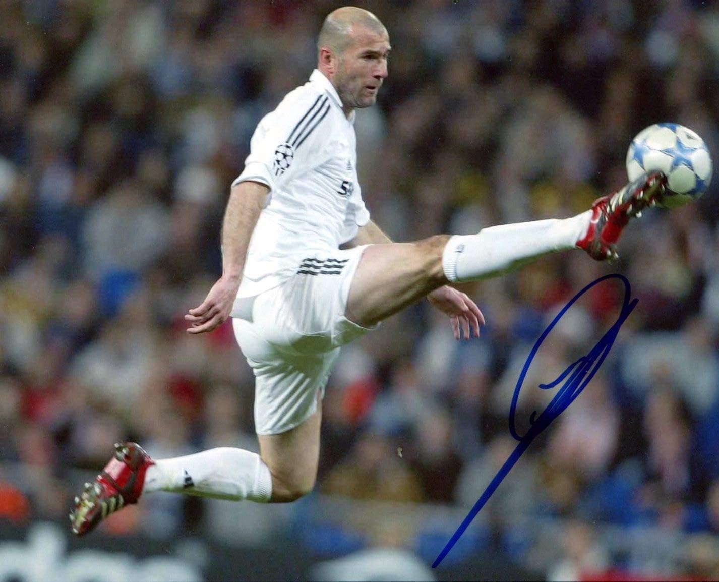 Amazon.com: SOCCER Zinedine Zidane autograph, signed photo : Sports ...