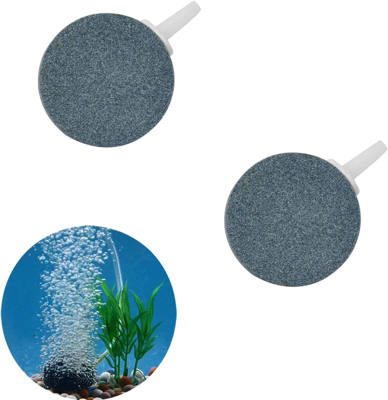 Amazon.com : Aquarium Air Stone Disc - 1.6 Inch Bubble Diffuser, 2PCS ...
