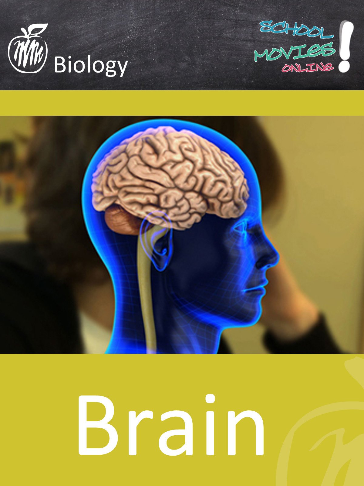 Buy Brain - Structure and Functions - School Movie on Biology Online at ...