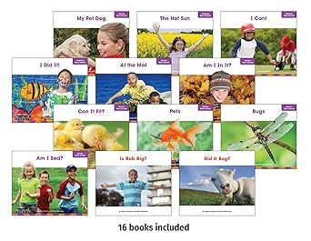 Decodable Readers Book Set: Short Vowels Set A 16-Titles | Reading Age ...
