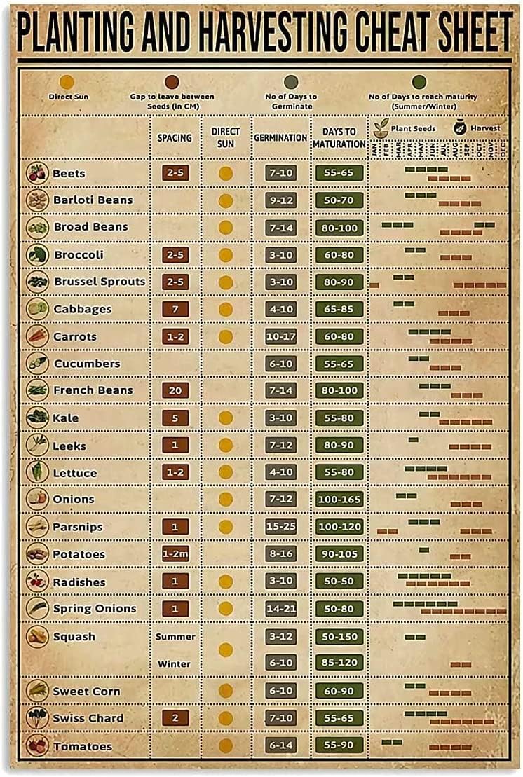 Amazon.com: ESETASOT Farmer Knowledge Metal Signs Planting And ...