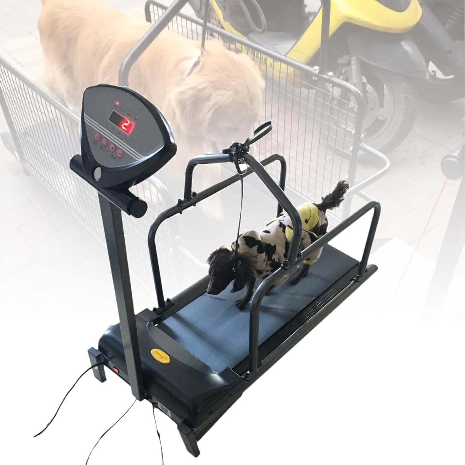Electric Dog Treadmill for Large, Medium & Small Dogs - Pet Fitness ...