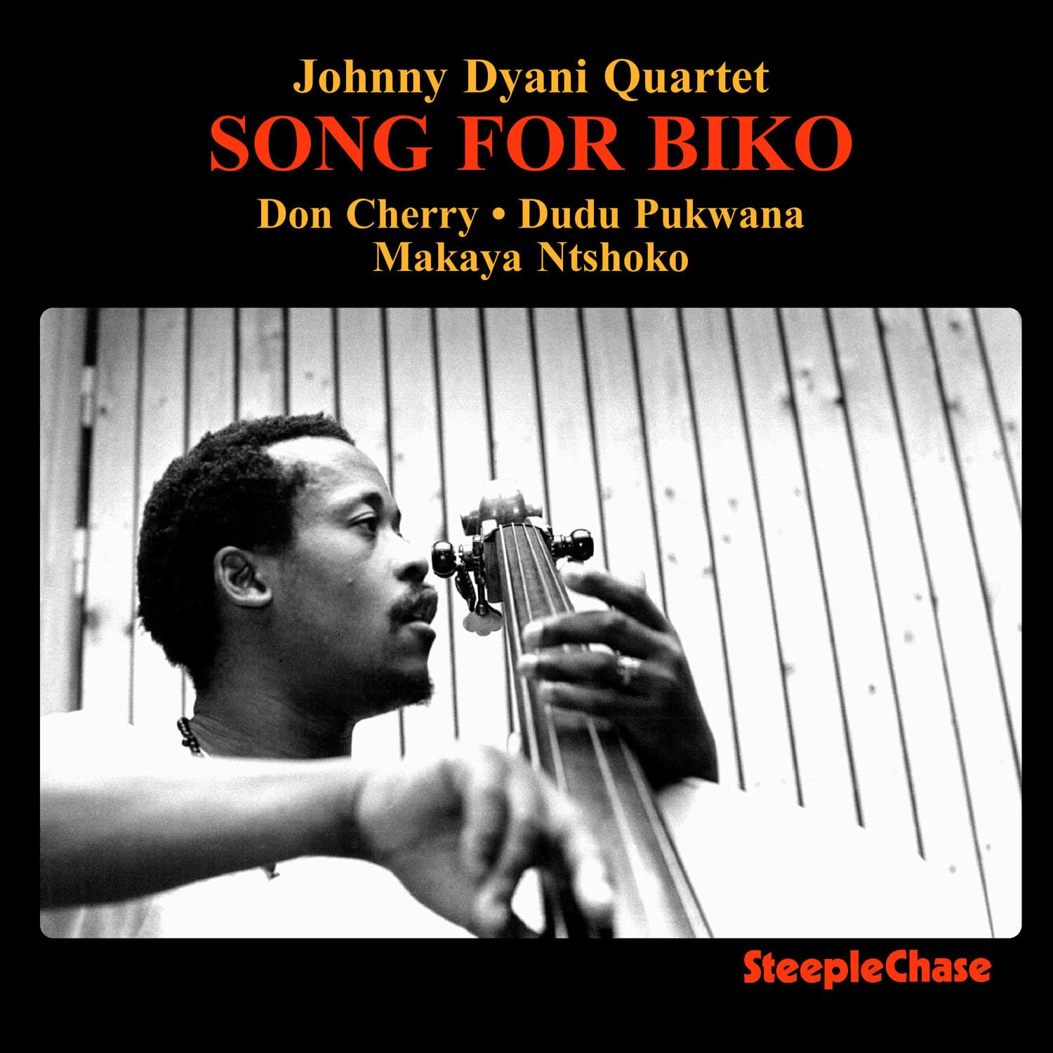 Amazon.de:Song for Biko