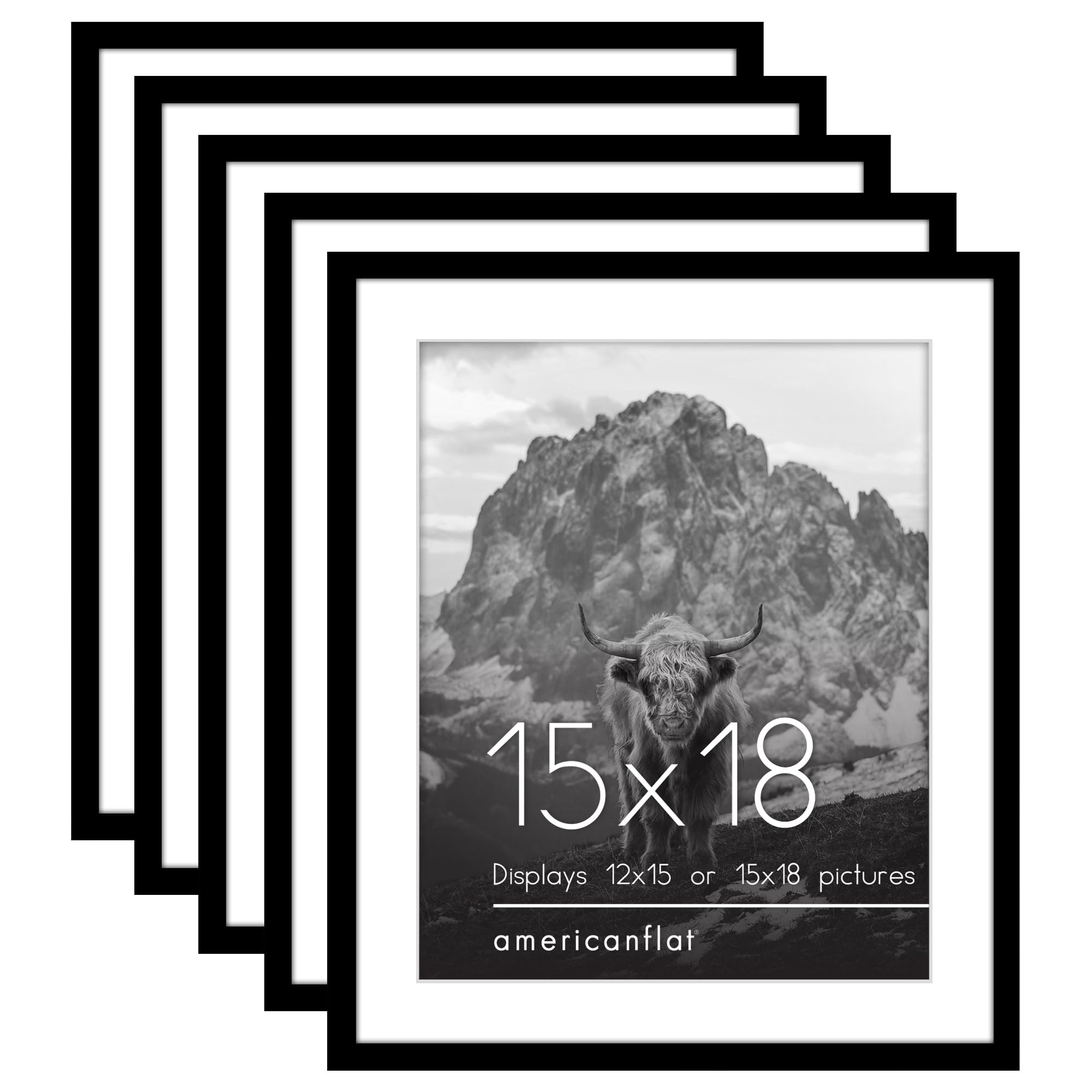 Americanflat 15x18 Picture Frame with Polished Plexiglass - Set of 5 ...