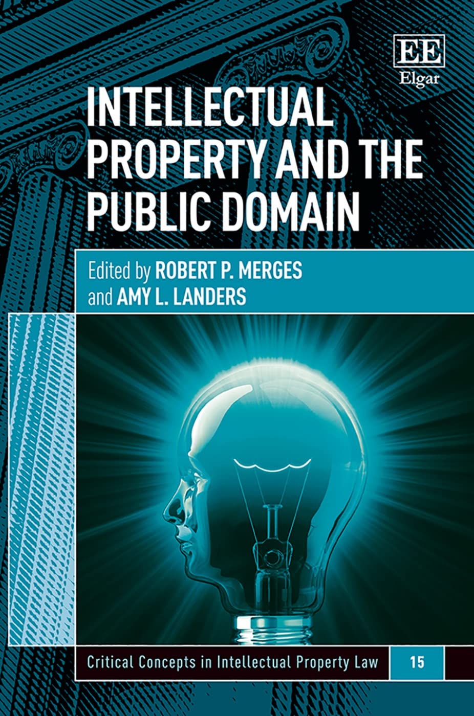 Amazon.com: Intellectual Property and the Public Domain (Critical ...