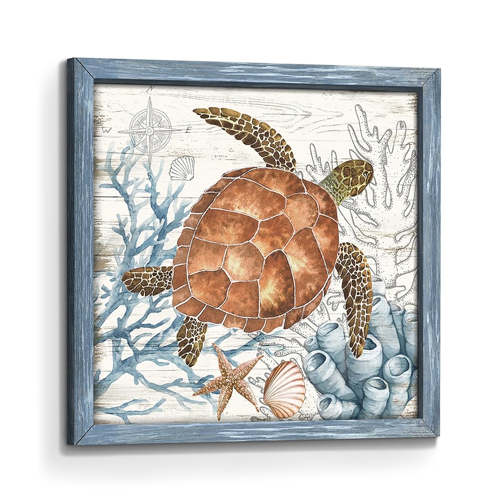 Amazon.com: Framed Sea Turtle Wall Art: Wooden Coastal Ocean Life ...