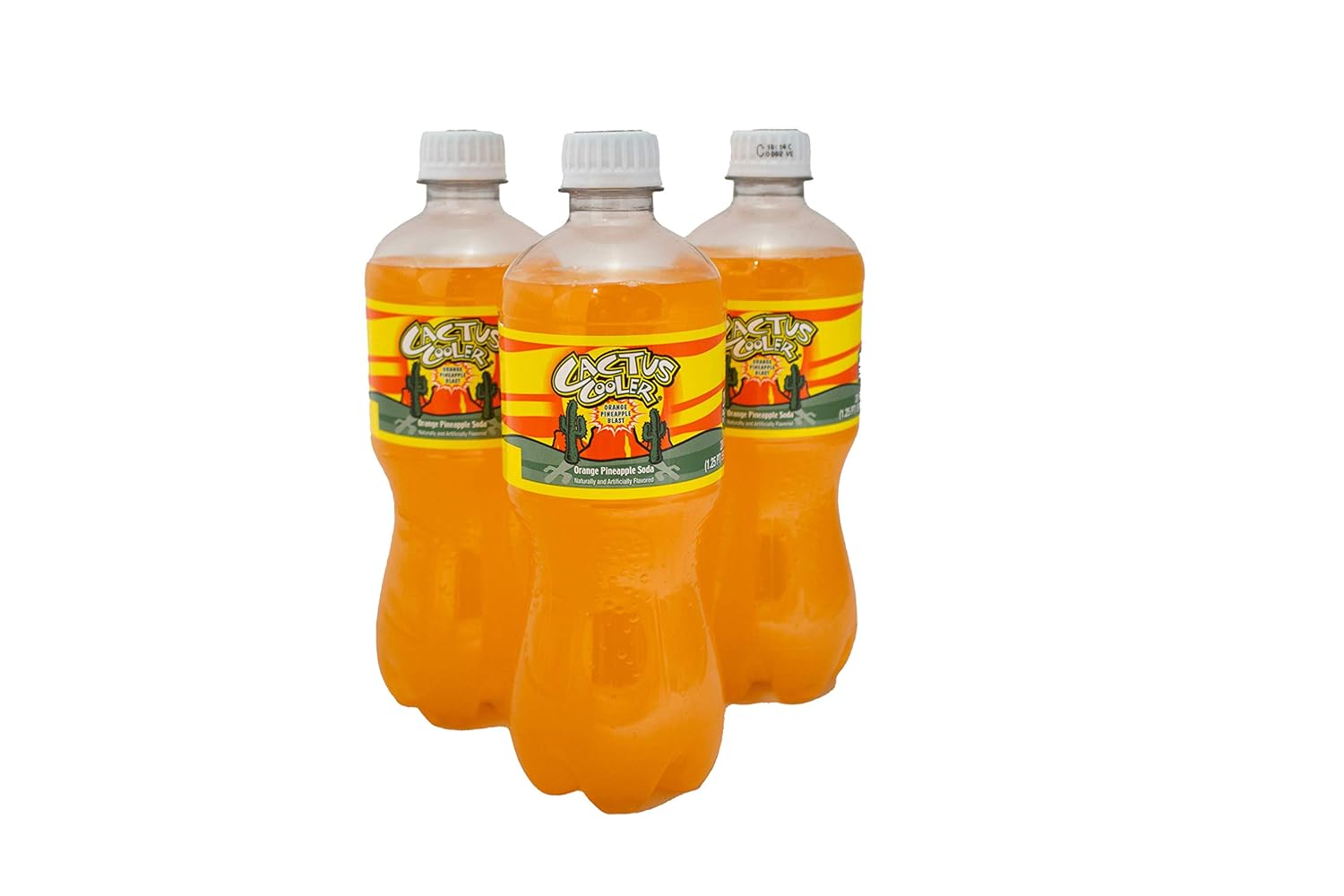 Amazon.com : Cactus Cooler 3-Pack Bottles : Everything Else