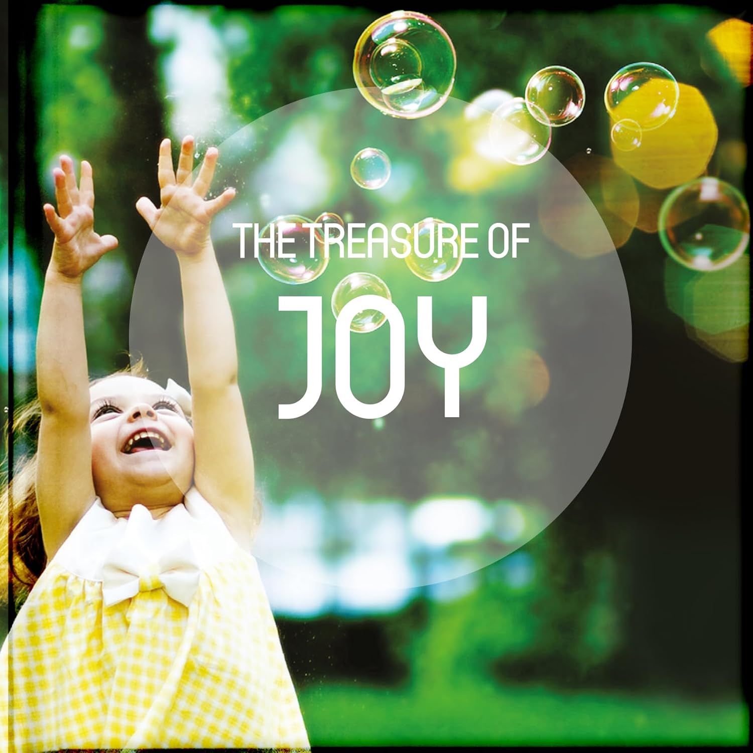Amazon.com: The Treasure of Joy: Take a pause from your busy life to ...