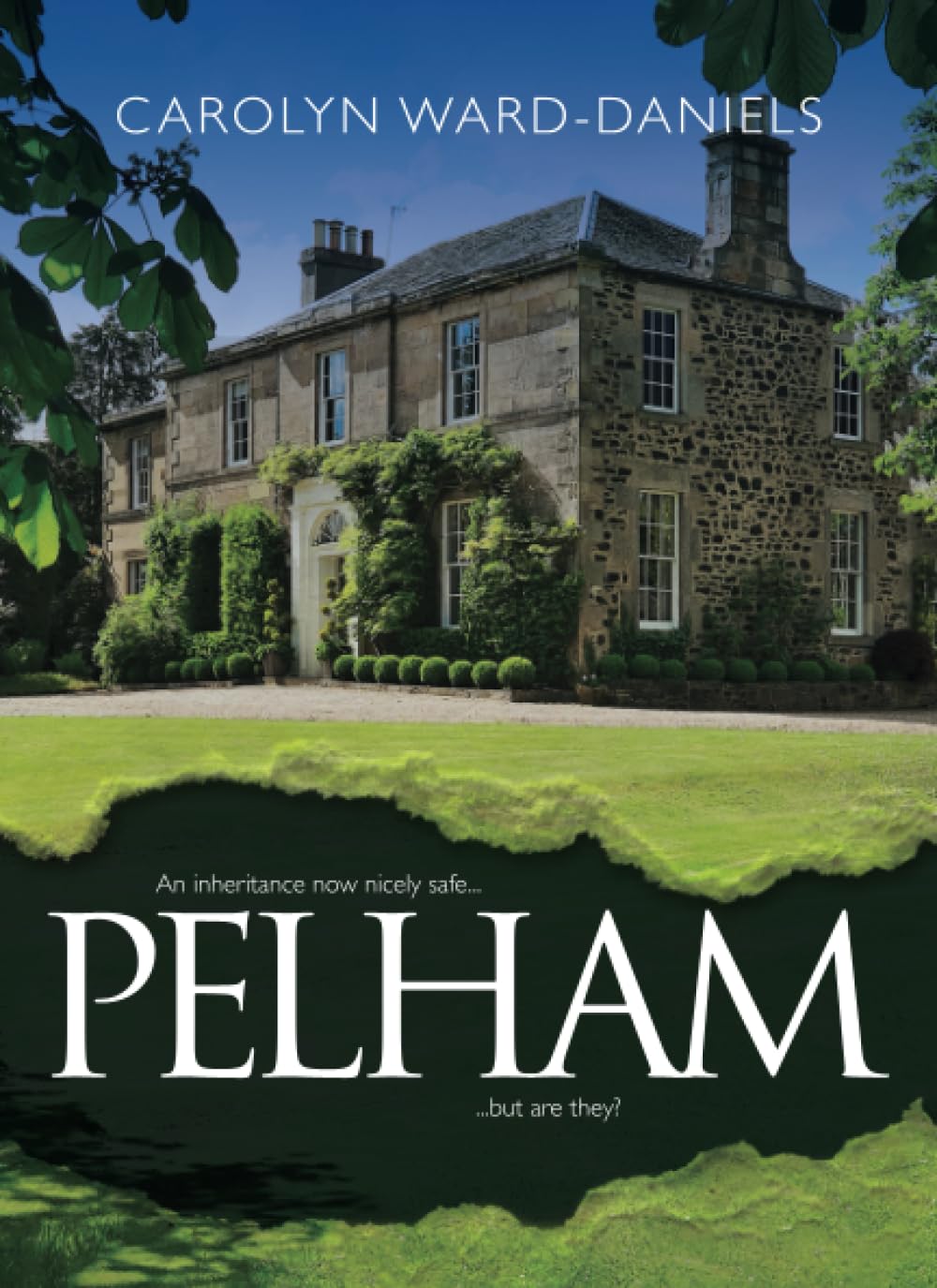 PELHAM: family coming of age: Ward-Daniels, Carolyn: 9781739620219 ...