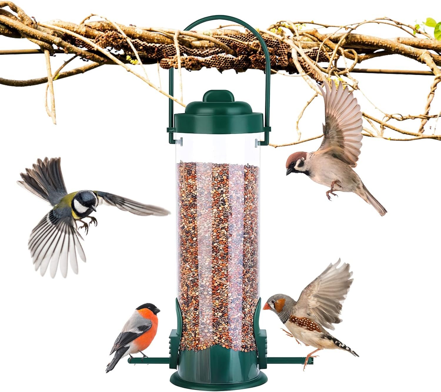 Bird Feeder for Outside- 500ml Hanging Wild Bird Seed Feeder With 2 ...