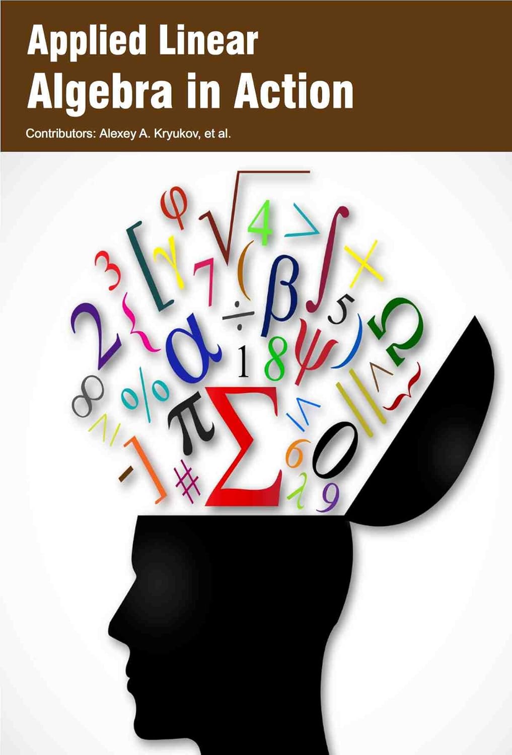 Buy Applied Linear Algebra in Action Book Online at Low Prices in India ...