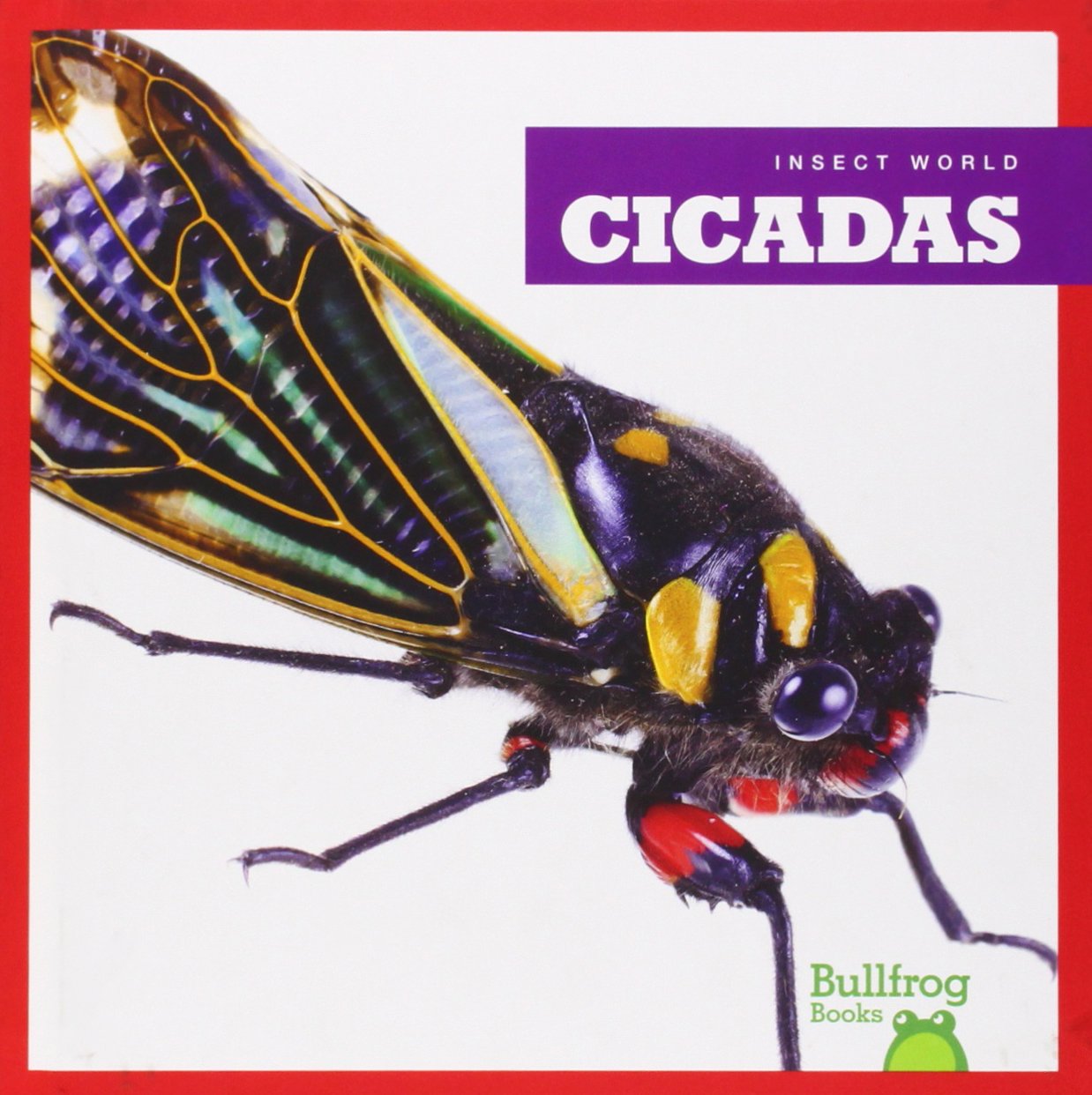 Amazon.com: Cicadas (Insect World): 9781620311608: Mari Schuh: Books