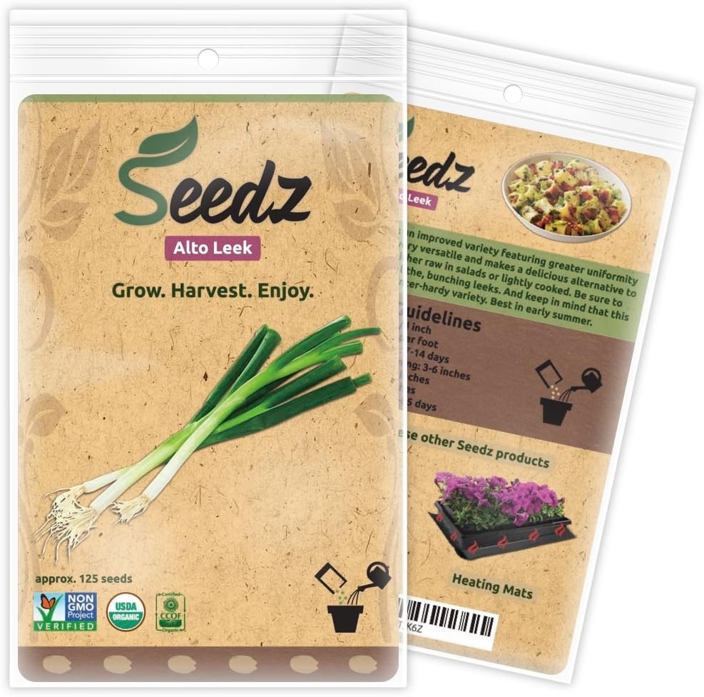 Amazon.com : Organic Leek Seeds, APPR. 125, Alto Leek, Heirloom ...