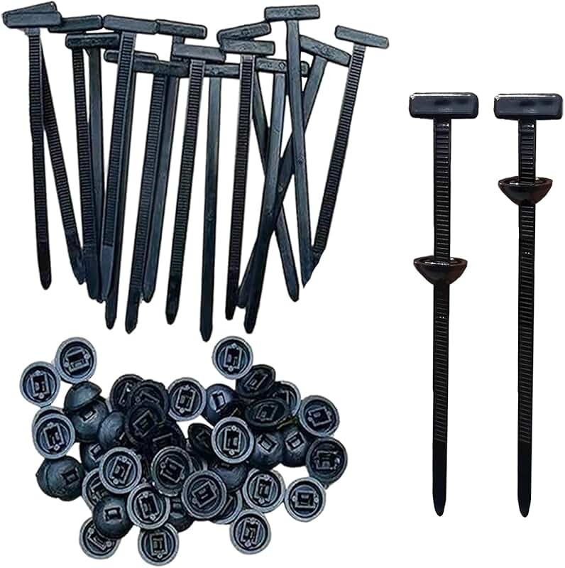 Amazon.com.mx: Sinchos