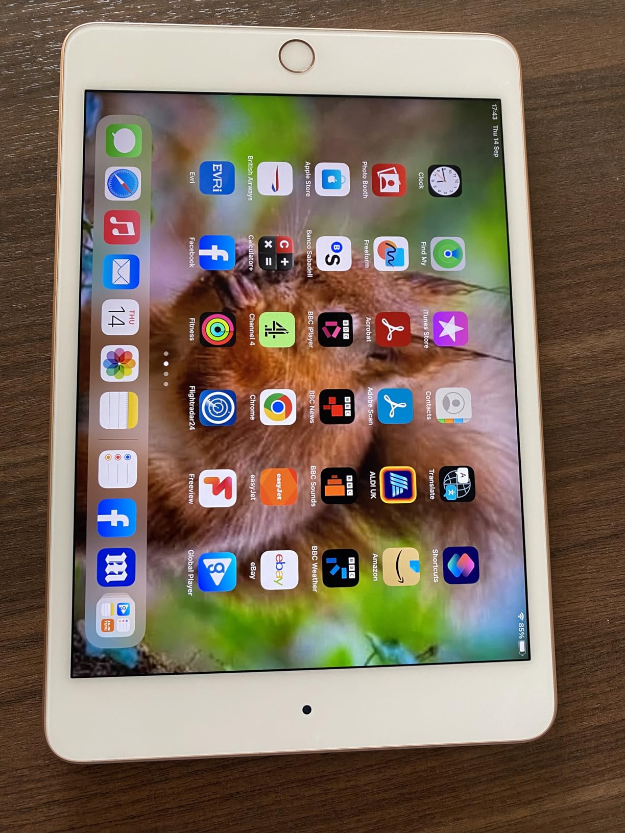 2019 Apple iPad Mini (7.9-inch, Wi-Fi, 256GB) Space Gray (Renewed ...