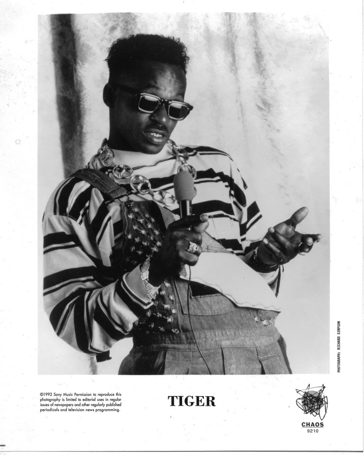 Tiger original 8x10 Photo H8959 at Amazon's Entertainment Collectibles ...