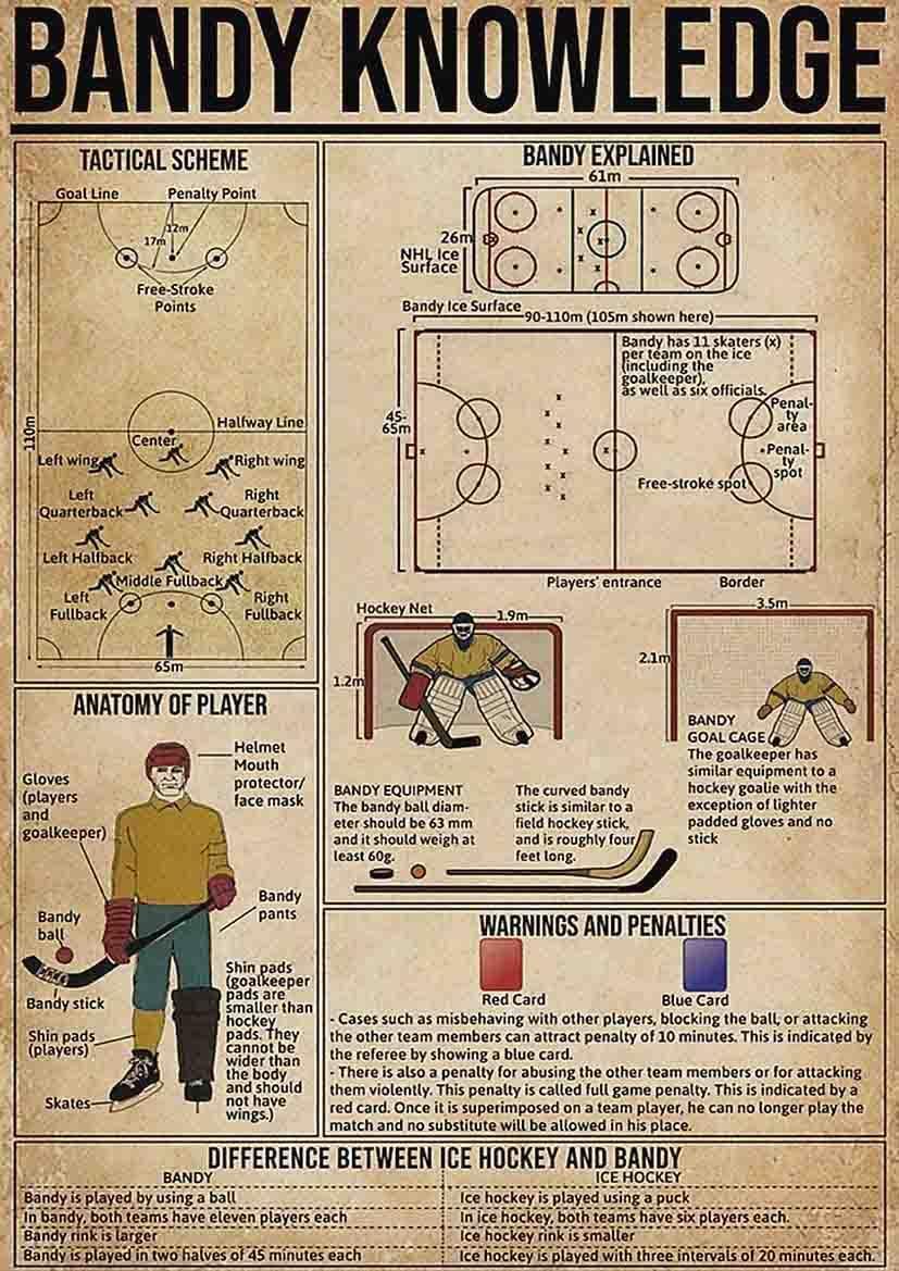 Amazon.com: Bandy Knowledge Retro Metal Sign Poster Bandy Ball Study ...