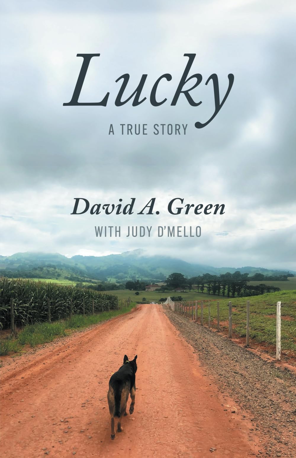 Lucky: A True Story: Green, David A., D'Mello, Judy, Friedman, Steve ...