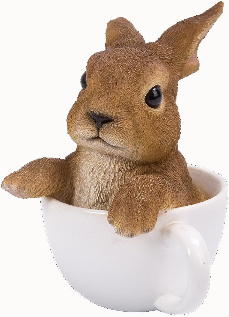 Vivid Arts TP-RABB-F Baby Rabbit in Tea Cup - Multi-Colour : Amazon.co ...