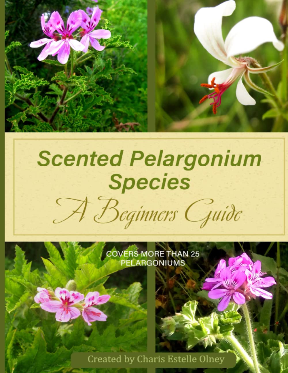 Scented Pelargonium Species-A beginners guide: Amazon.co.uk: Olney, Charis Estelle ...