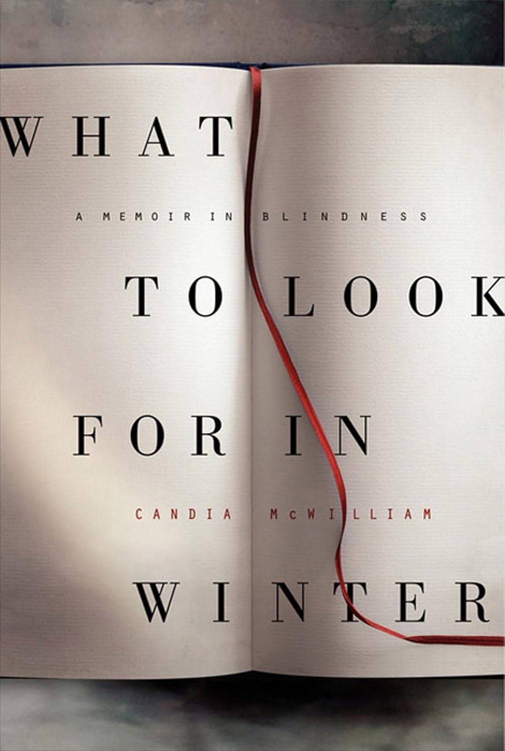 Amazon.com: What to Look for in Winter: A Memoir in Blindness eBook ...