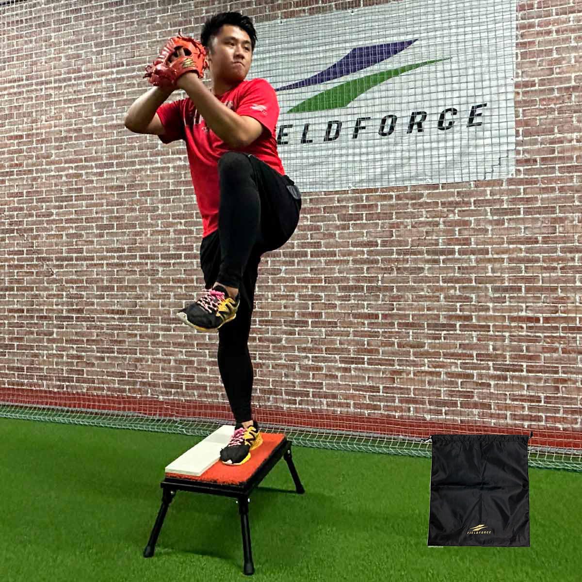 Amazon | ピッチスタンド＋ピッチプレート グラブ袋付き限定セット FPP-1046ST＋FPP-1046 FIELDFORCE フィールドフォース baseballpower ...