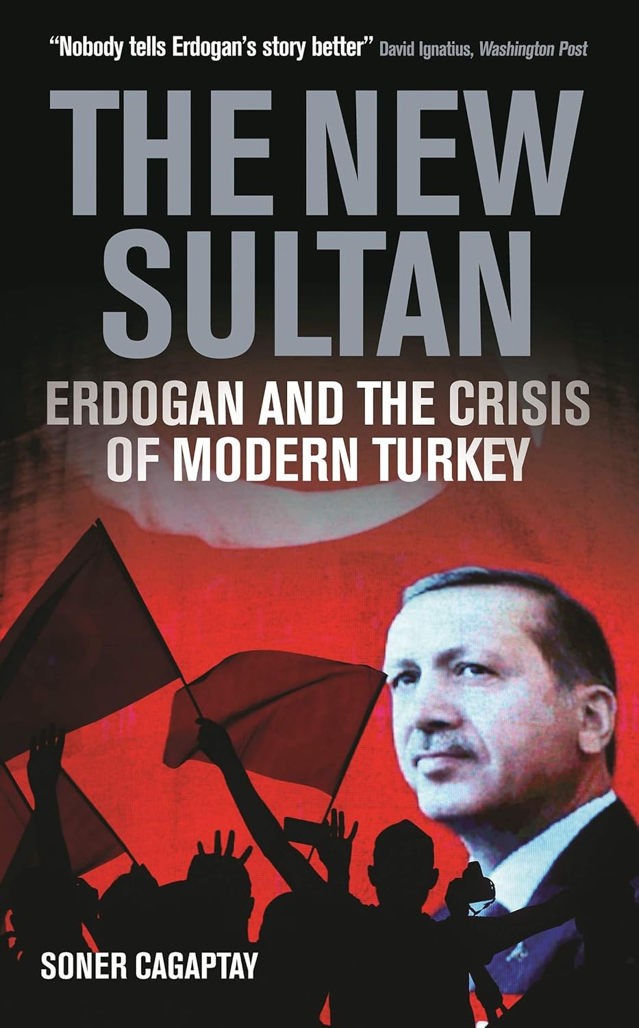 The New Sultan: Erdogan and the Crisis of Modern Turkey: Cagaptay ...