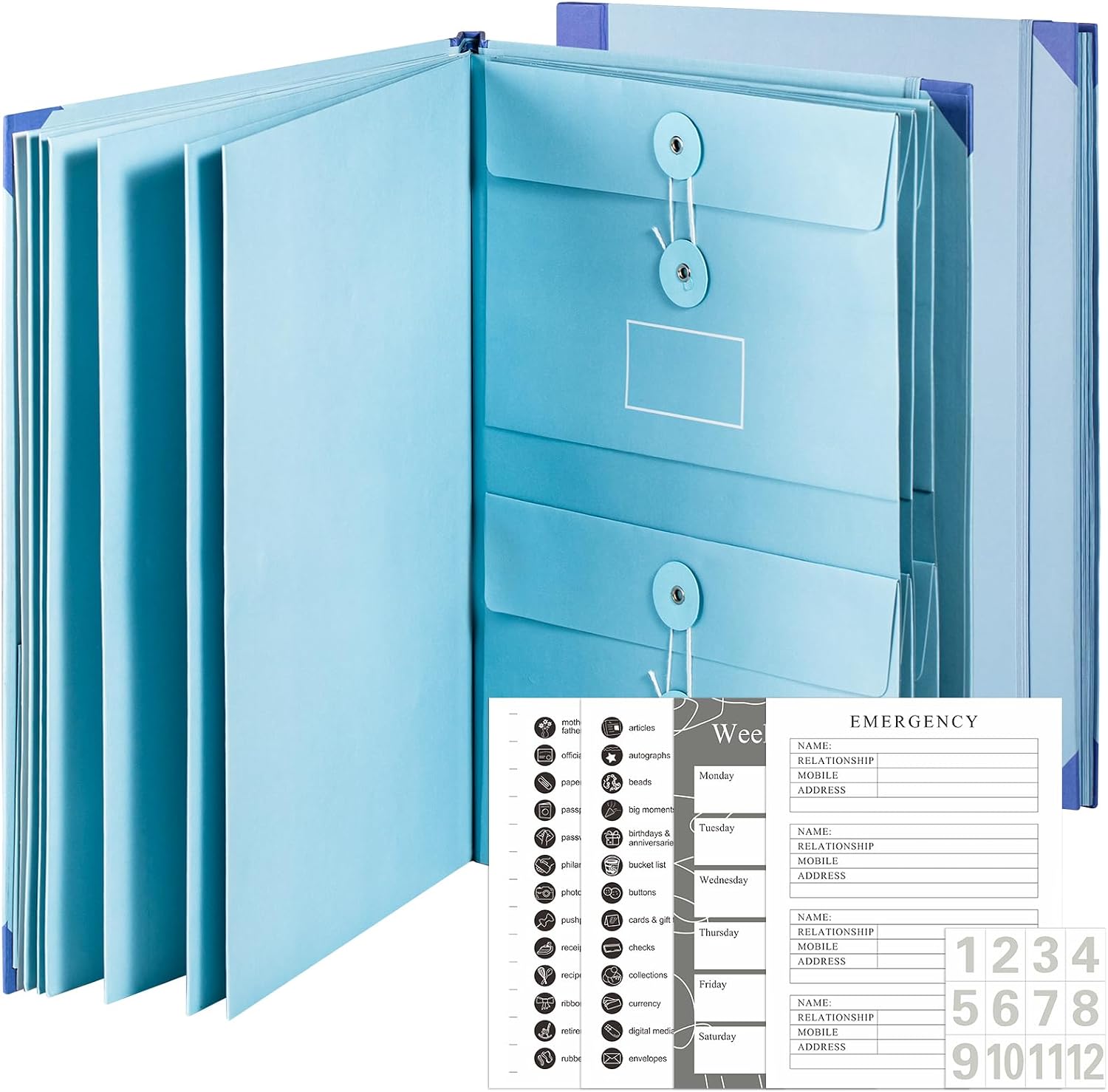 Amazon.com : Folio Document Organizer with Labels, Important Folders ...