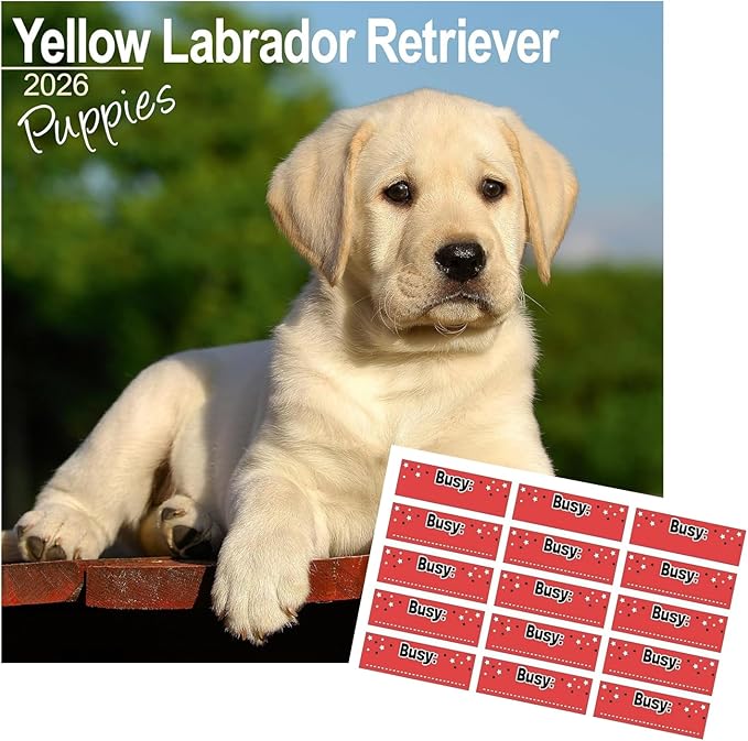 Yellow Labrador Puppies Calendar 2026 | 16 months | with FREE ...