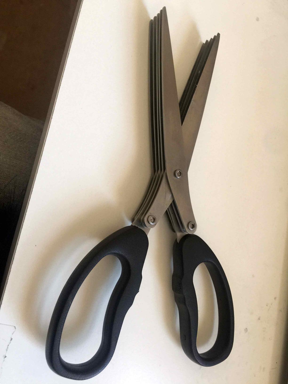 Kamasa 5 Shredding Scissors Stainless Steel Blades Secure Your ...