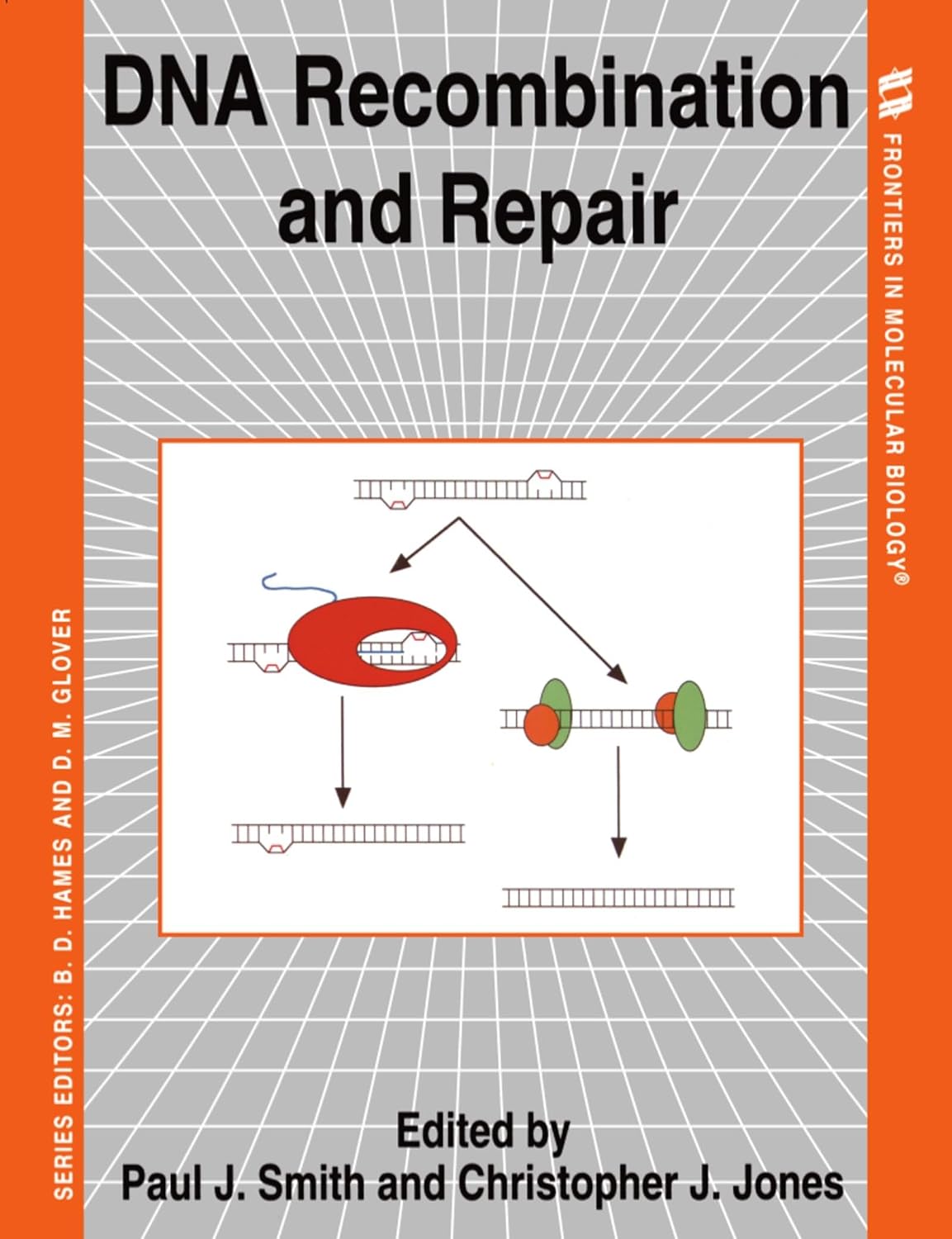 DNA Recombination and Repair (Frontiers in Molecular Biology ...
