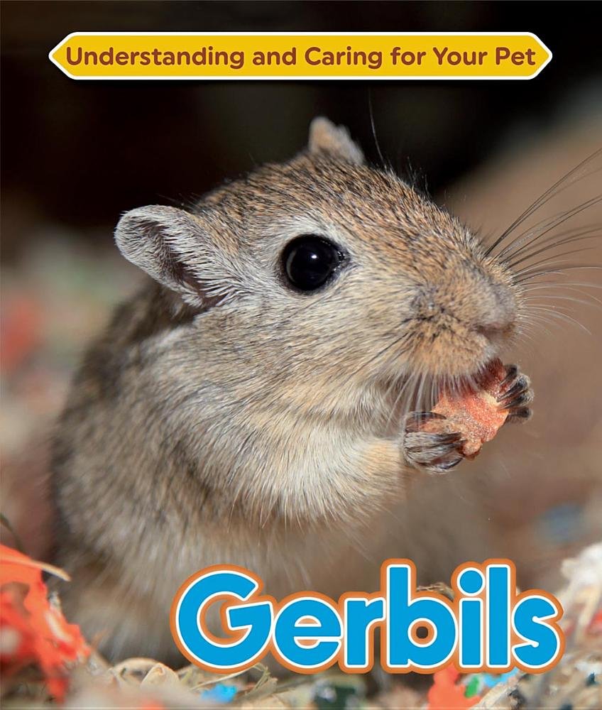 Gerbils (Understanding and Caring for Your Pet) : Roswell, Jackie ...