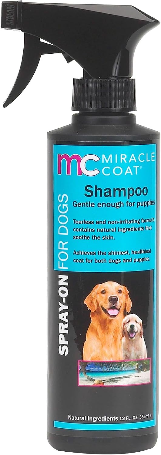 Pet Shampoos : Amazon.com: Miracle Coat Spray-On Dog Shampoo 12 Ounce