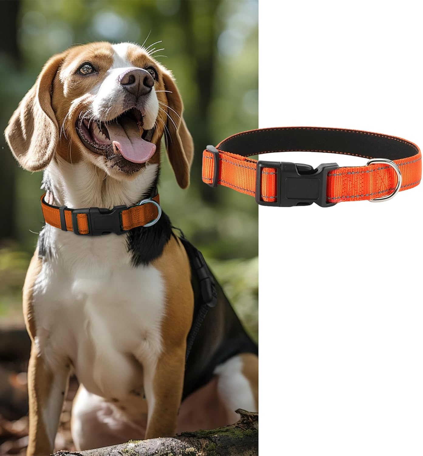 Amazon.com : MANON ROSA Reflective Dog Collar-Quick Release Buckle ...