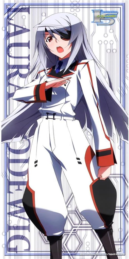 Amazon.com: Infinite Stratos Poster by Silk Printing # Size about (35cm ...