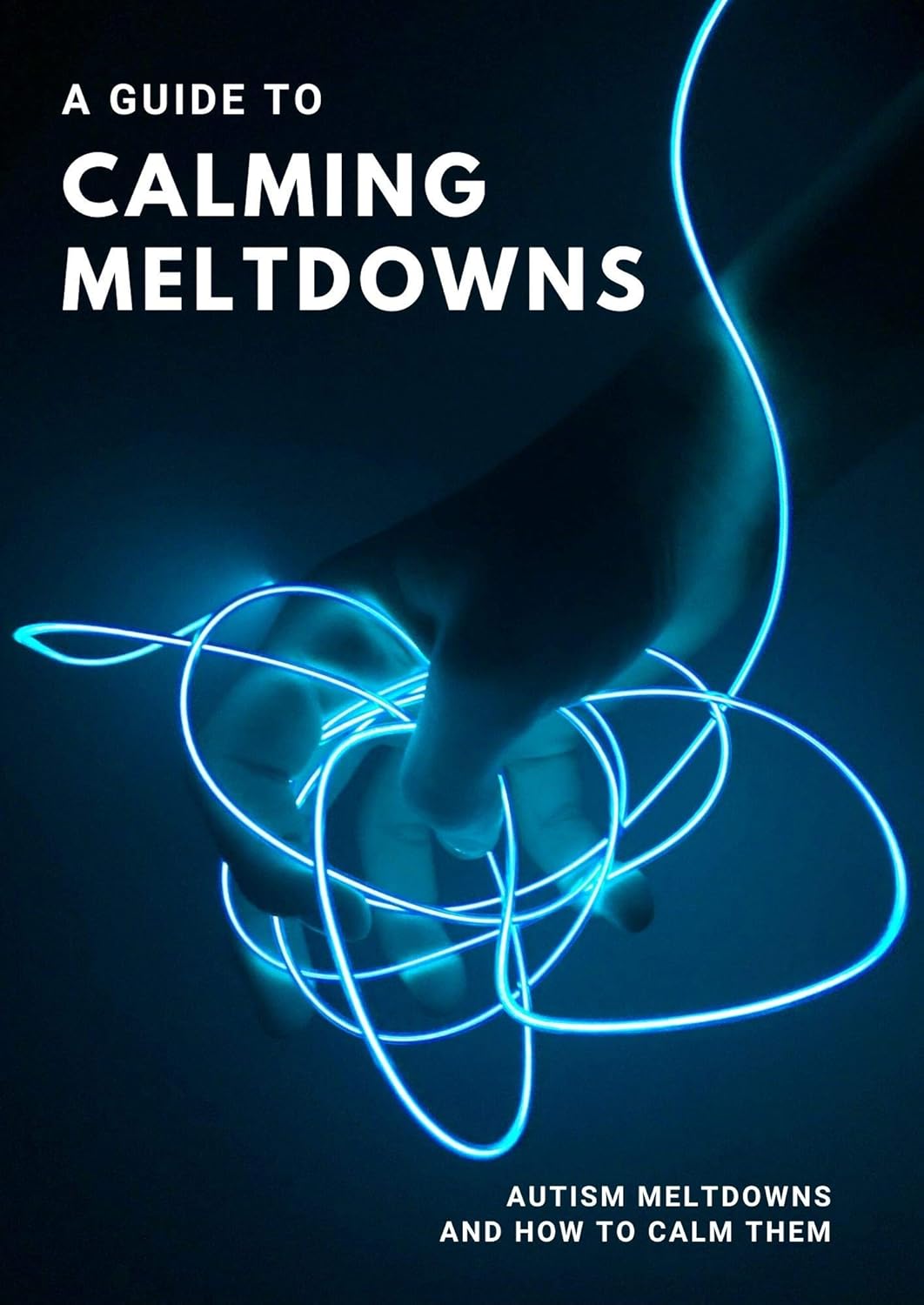 Amazon.com: A Guide to Calming Meltdowns: Autism Meltdowns and How to ...