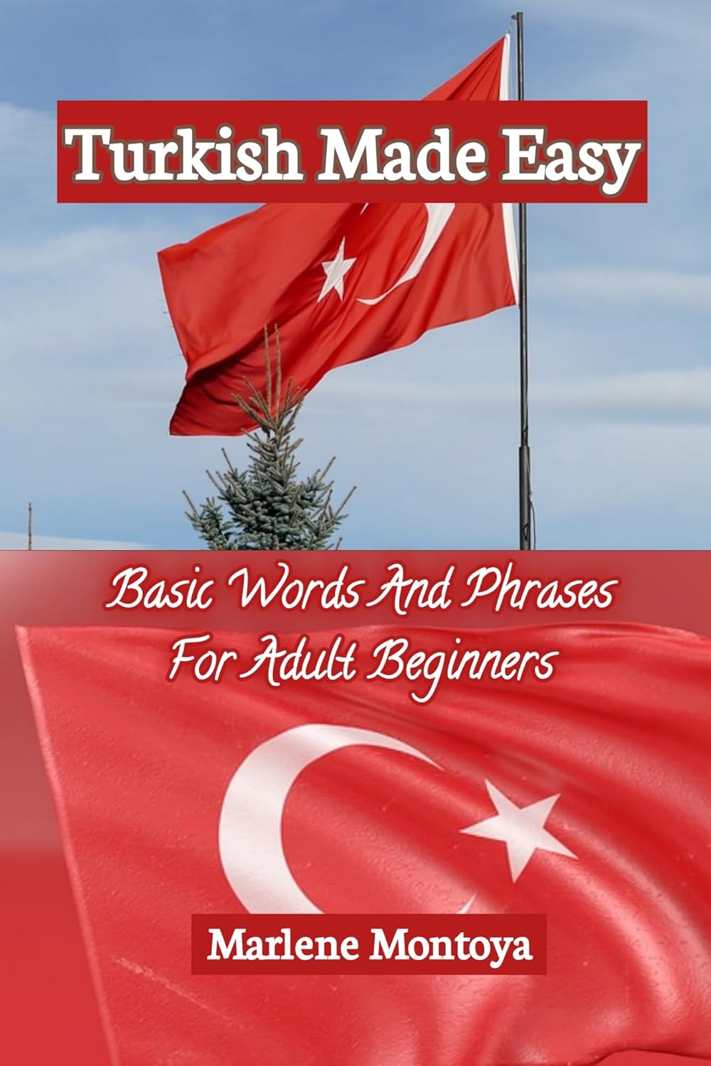 Amazon.com: Turkish Made Easy: Basic Words And Phrases For Adult ...