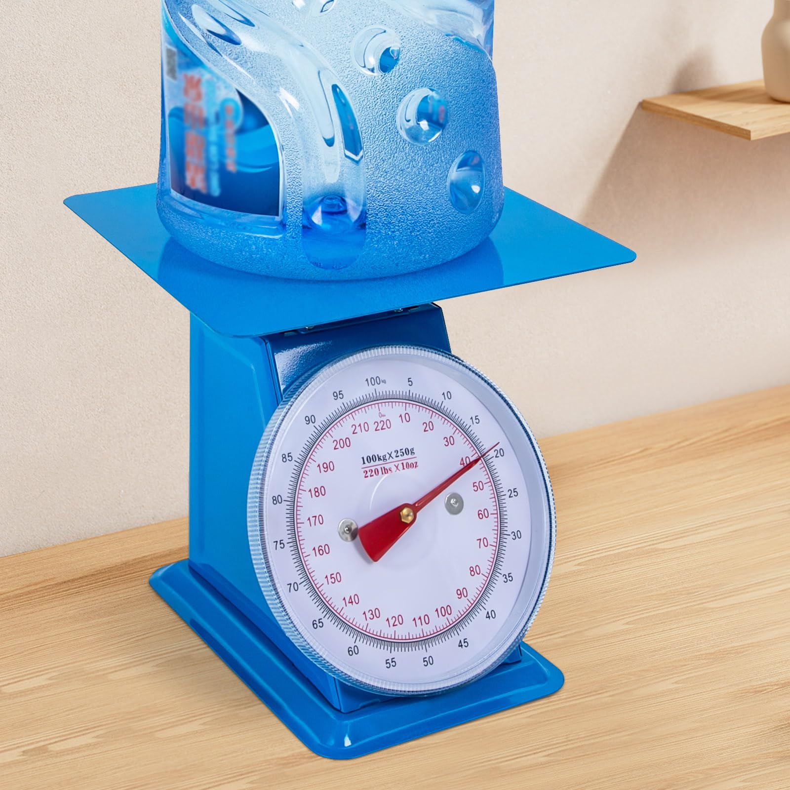Portion Control Kitchen Scale Industrial Dial Scale 100kg/220lbs ...