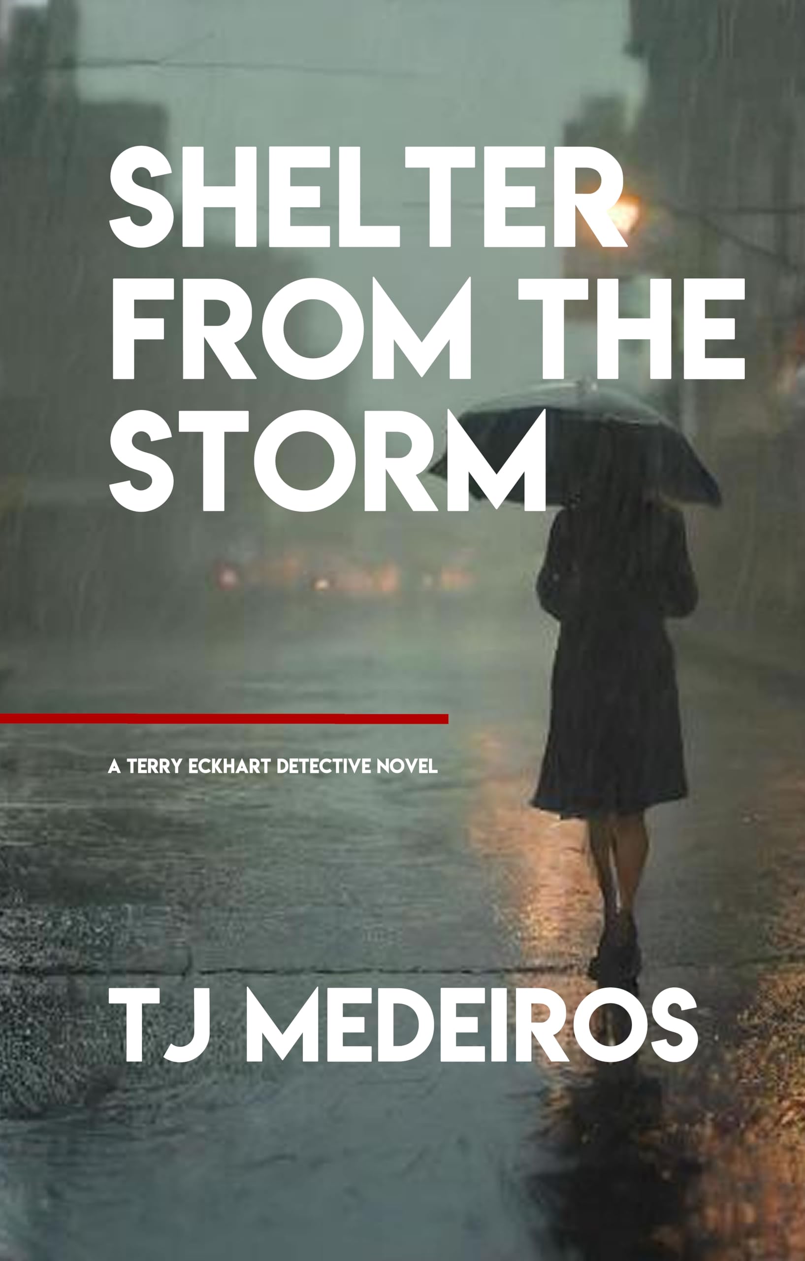 Book review of Shelter From The Storm - Readers' Favorite: Book Reviews ...