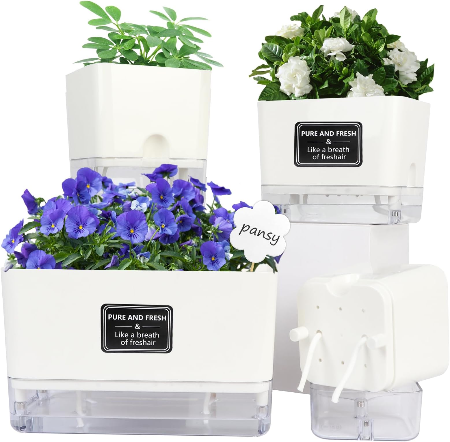 Cole & Mason Burwell Self-Watering Potted Herb Saver, Windowsill Herb ...