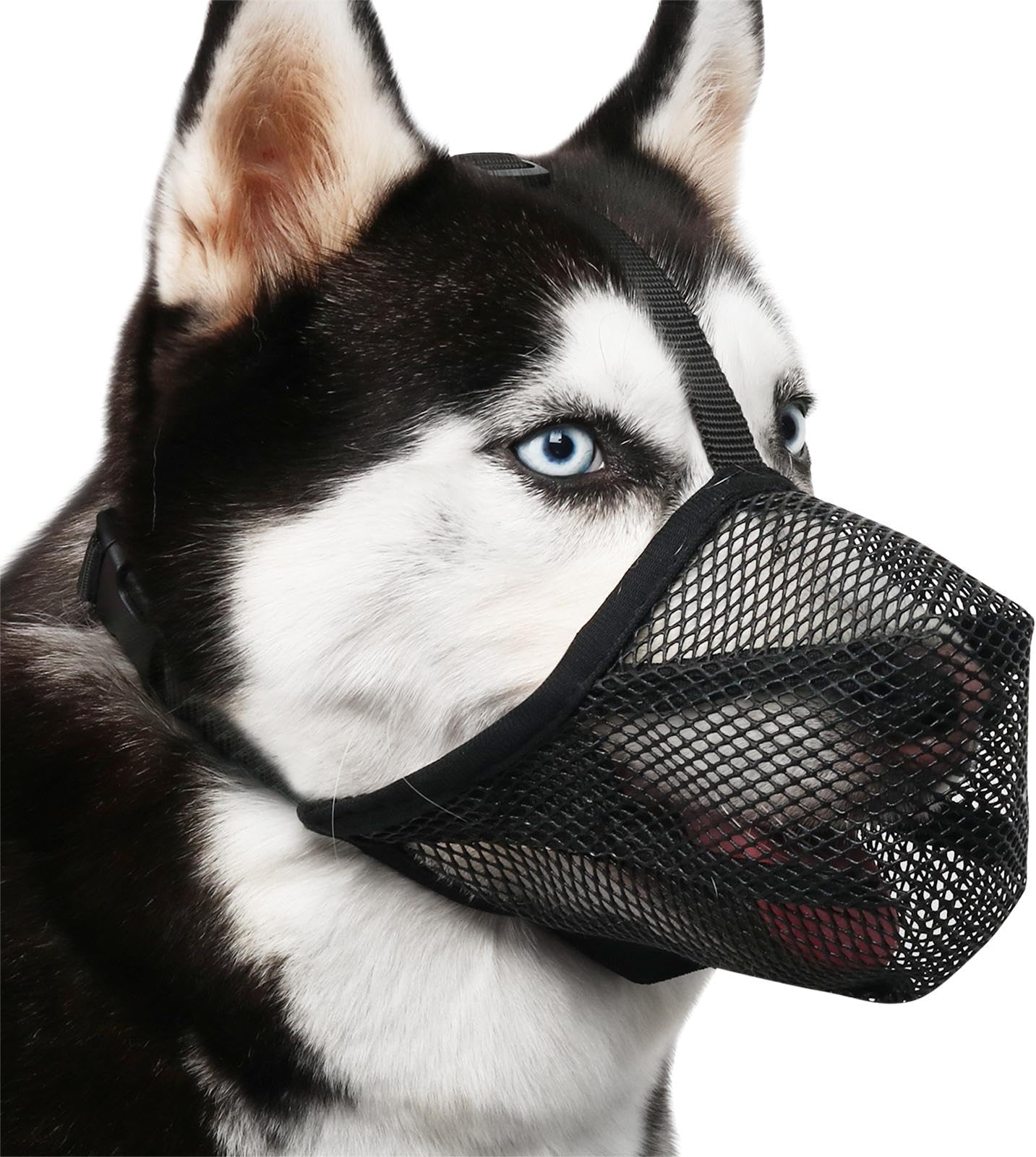 Amazon.com : Mayerzon Dog Muzzle, Patented Mesh Muzzle with Panting ...