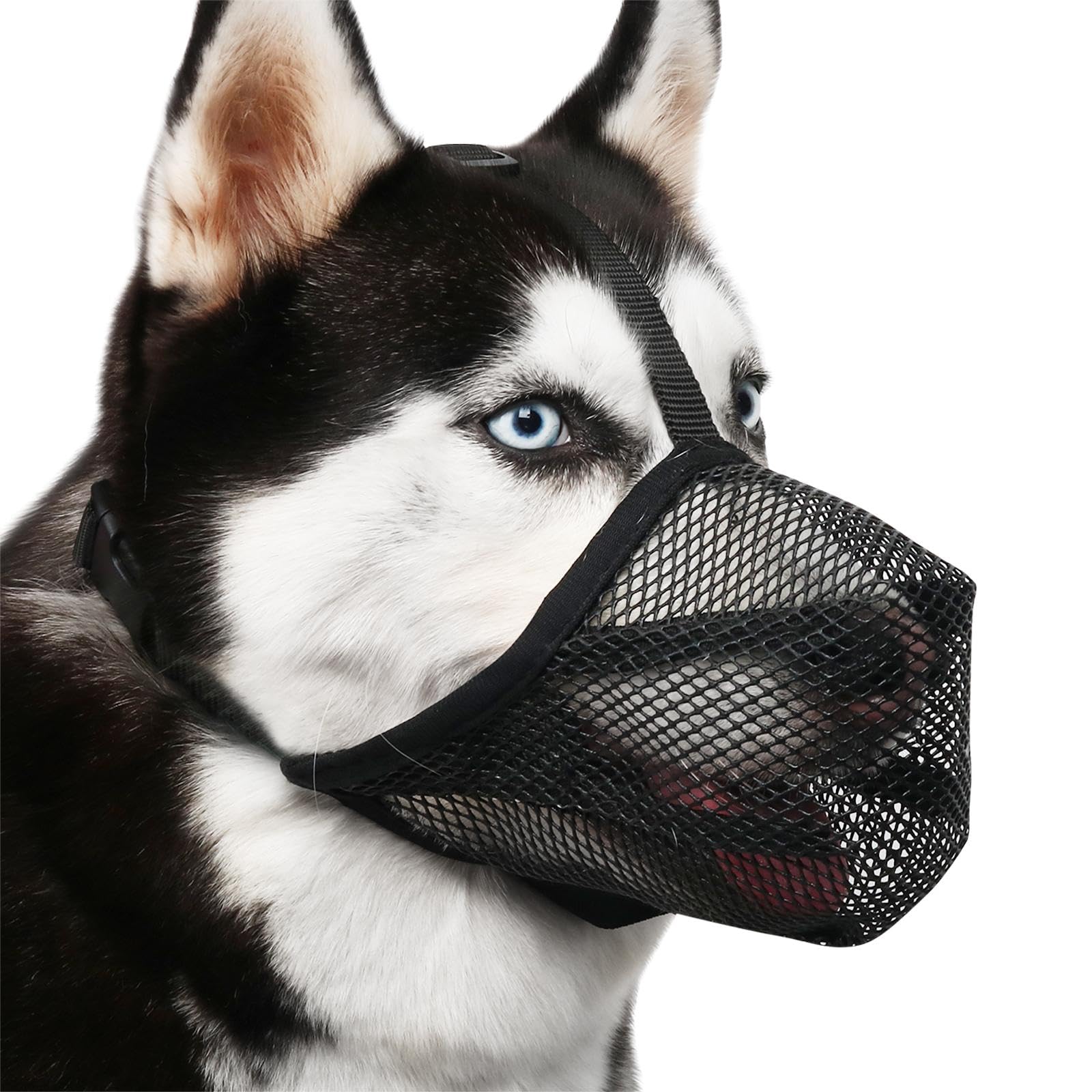 Amazon.com : Mayerzon Dog Muzzle, Soft Mesh Muzzle for Small Medium Large Dogs with Adjustable ...