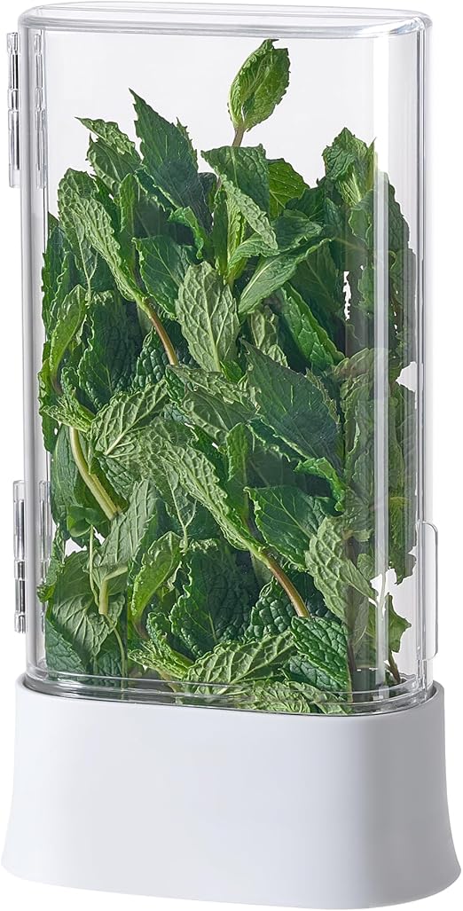 Amazon.com: vacane Herb Keeper for Refrigerator, Fresh Herb Saver Herb ...
