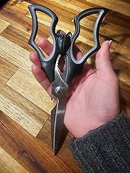 Amazon.com: OTOTO Elizabat Kitchen Scissors - Halloween Goth Cute Bat ...