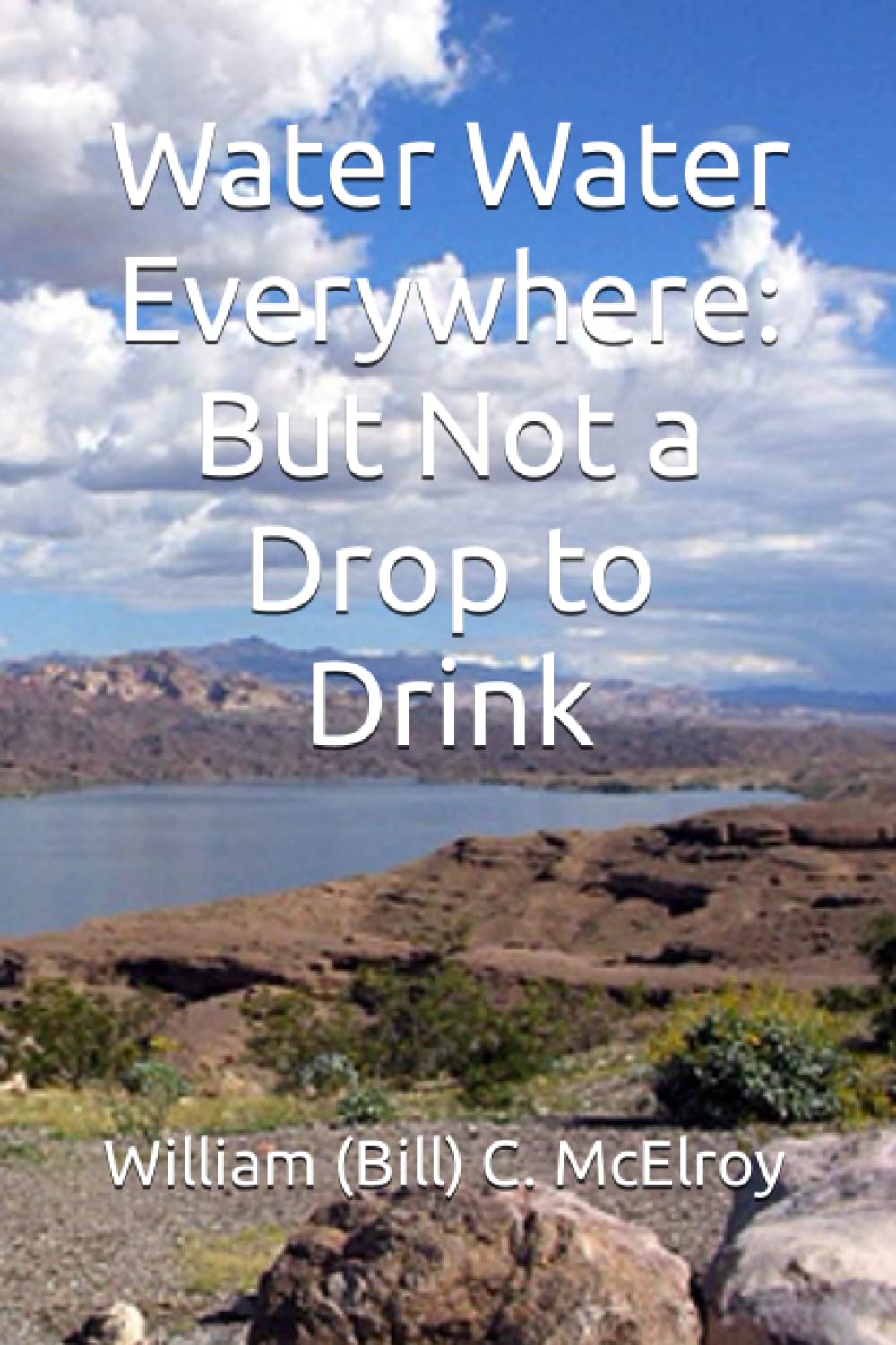 Water Water Everywhere: But Not a Drop to Drink (Environmental Book ...