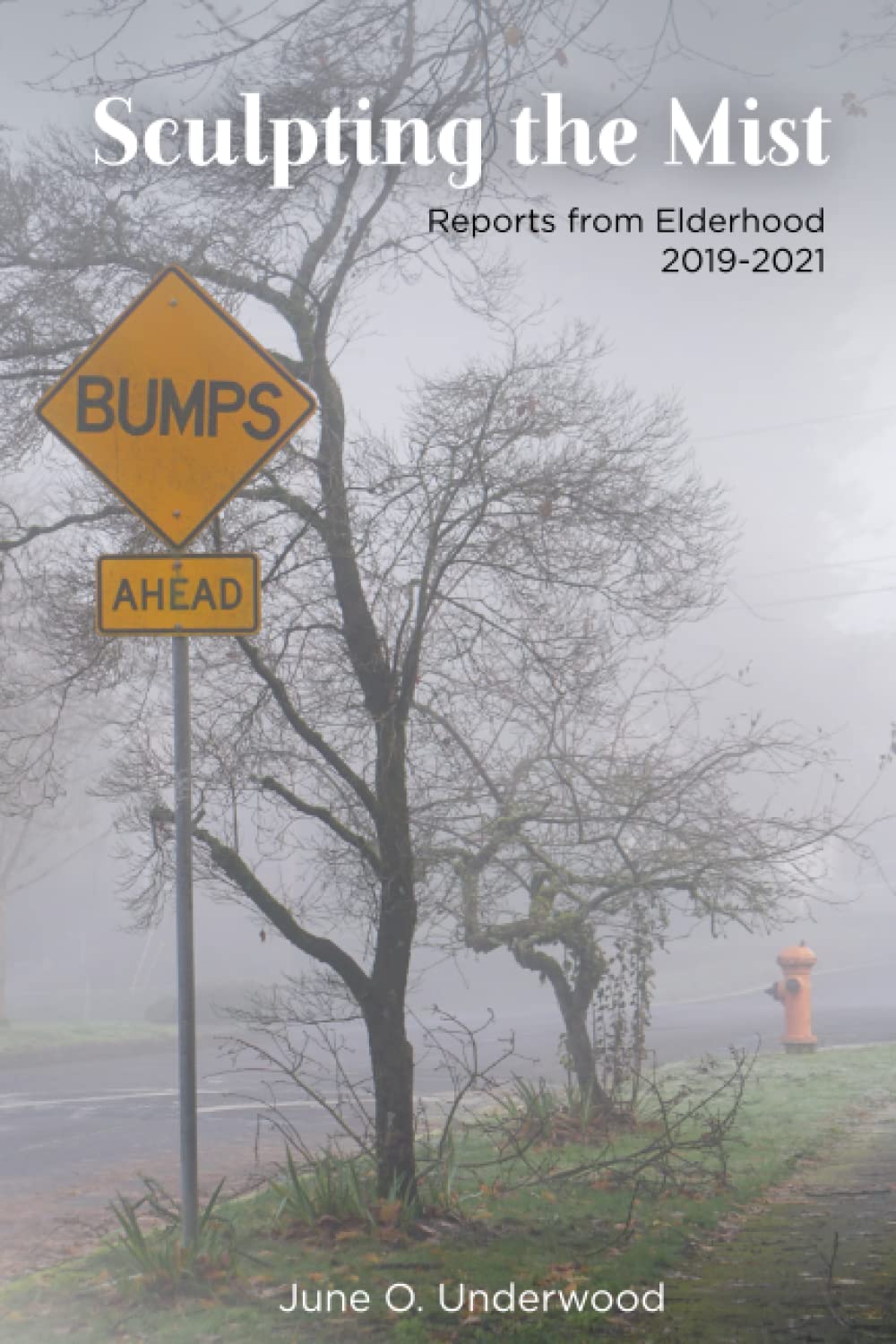 Sculpting the Mist: Reports from Elderhood, 2019-2021: Underwood, June ...