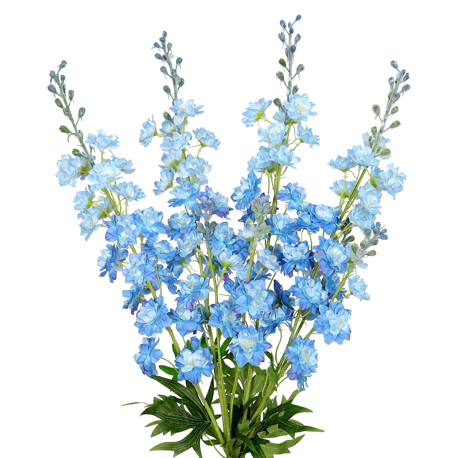 Blue Larkspur Flower