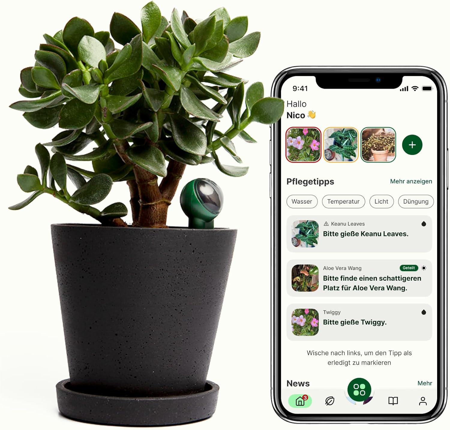 FYTA Beam 6-in-1 Plant Sensor – Measures Water, Temperature, Light ...