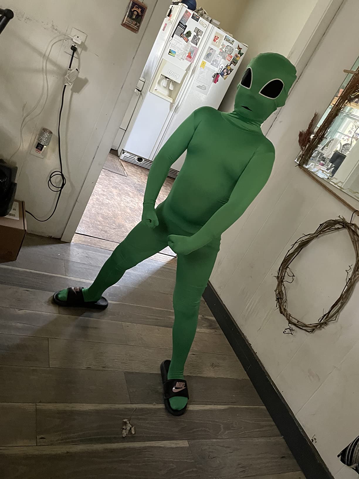 $8/mo - Finance Morphsuits Alien Costume Kids Green Alien Costume ...